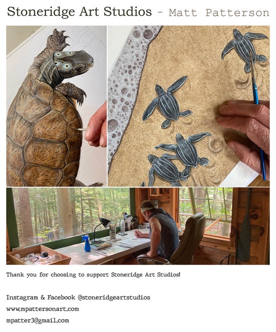 Snapping Turtle Footprint