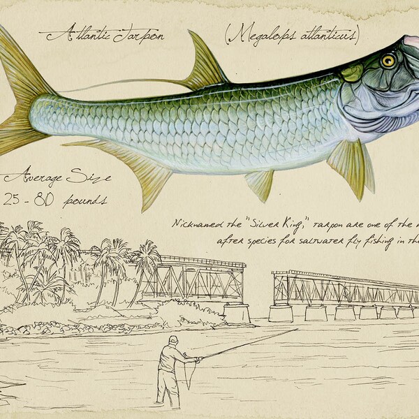 Tarpon - Etsy