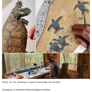 Original Myrtle the Green Sea Turtle Illustration From the Book of ...