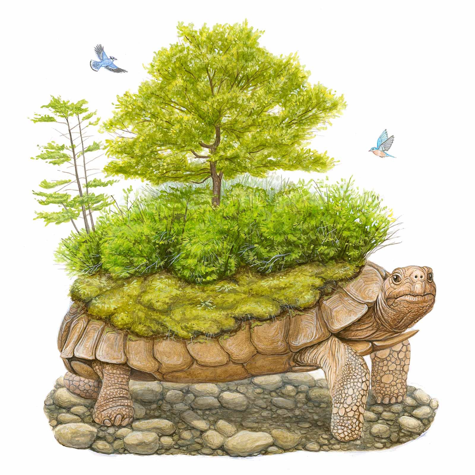 For Sale — Matt Patterson