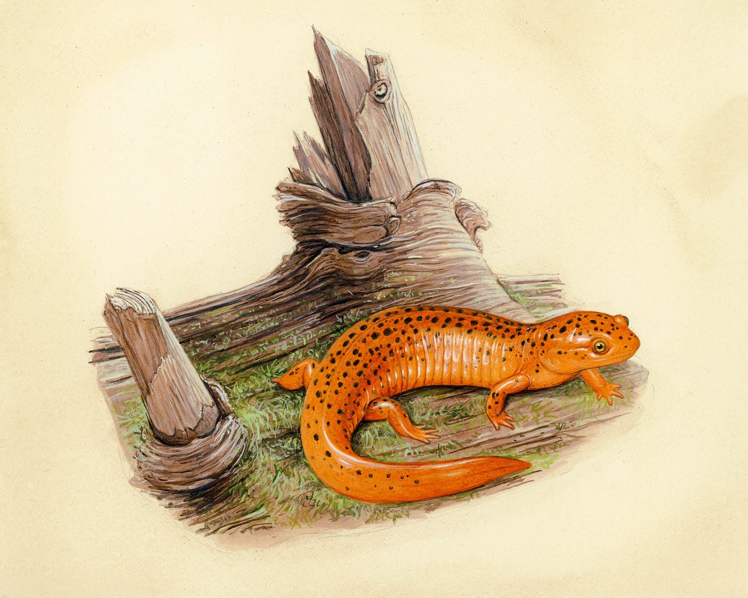 For Sale — Stoneridge Art Studios