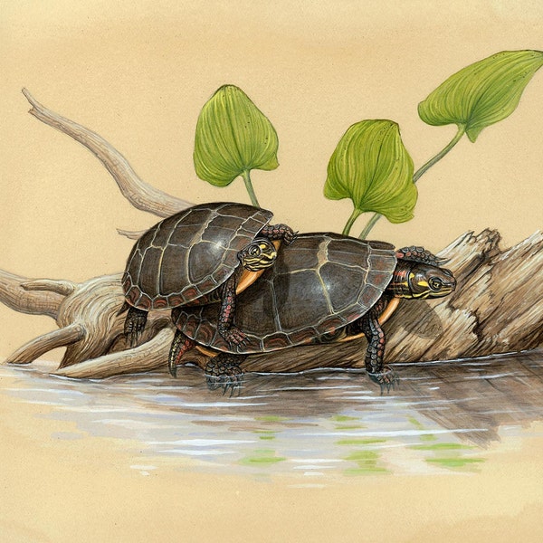 Matt Patterson - Etsy