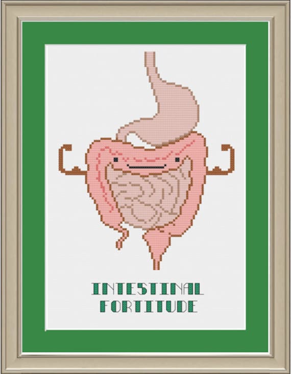 Intestinal Fortitude: Funny Anatomy Cross-stitch Pattern - Etsy