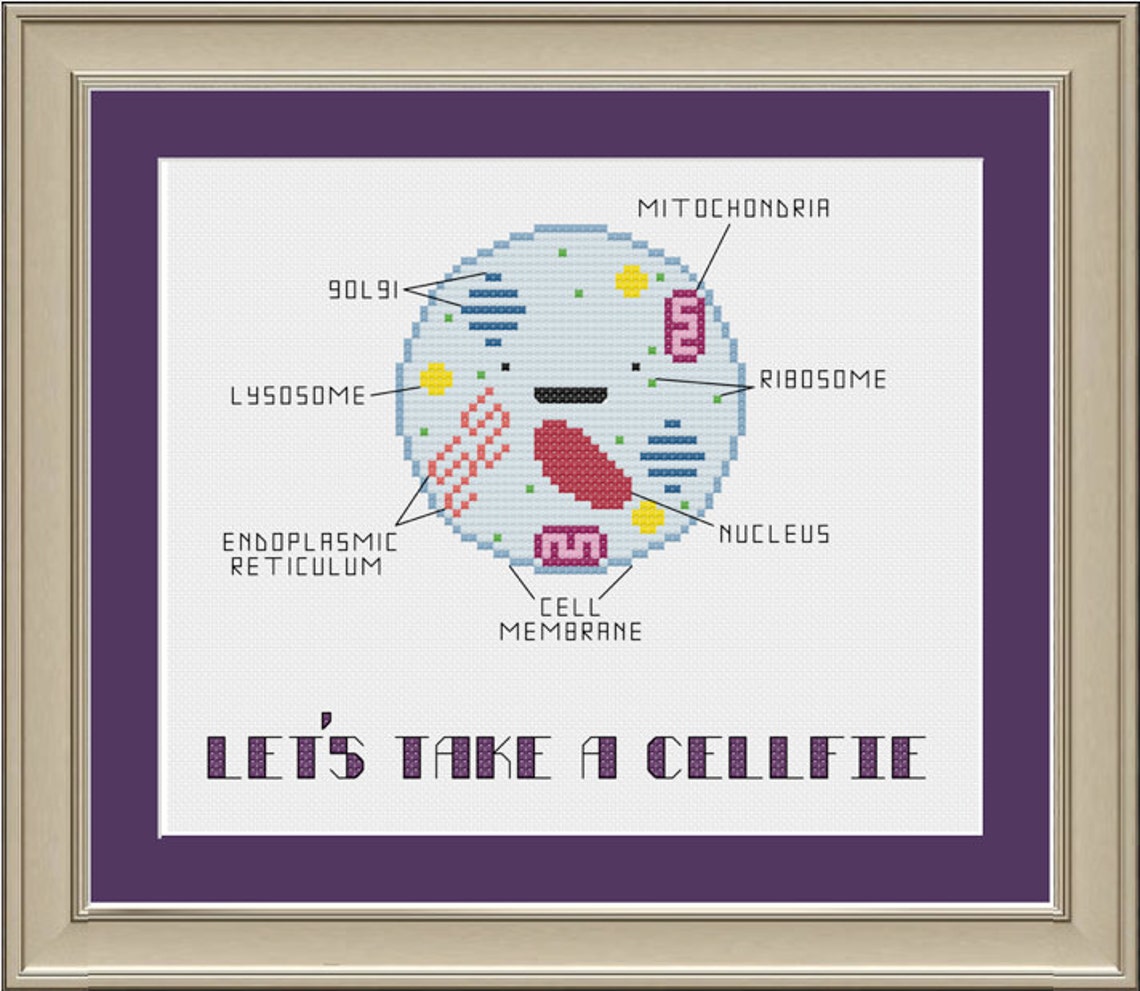 Let's Take a Cellfie: Funny Cell Biology Cross-stitch Pattern - Etsy