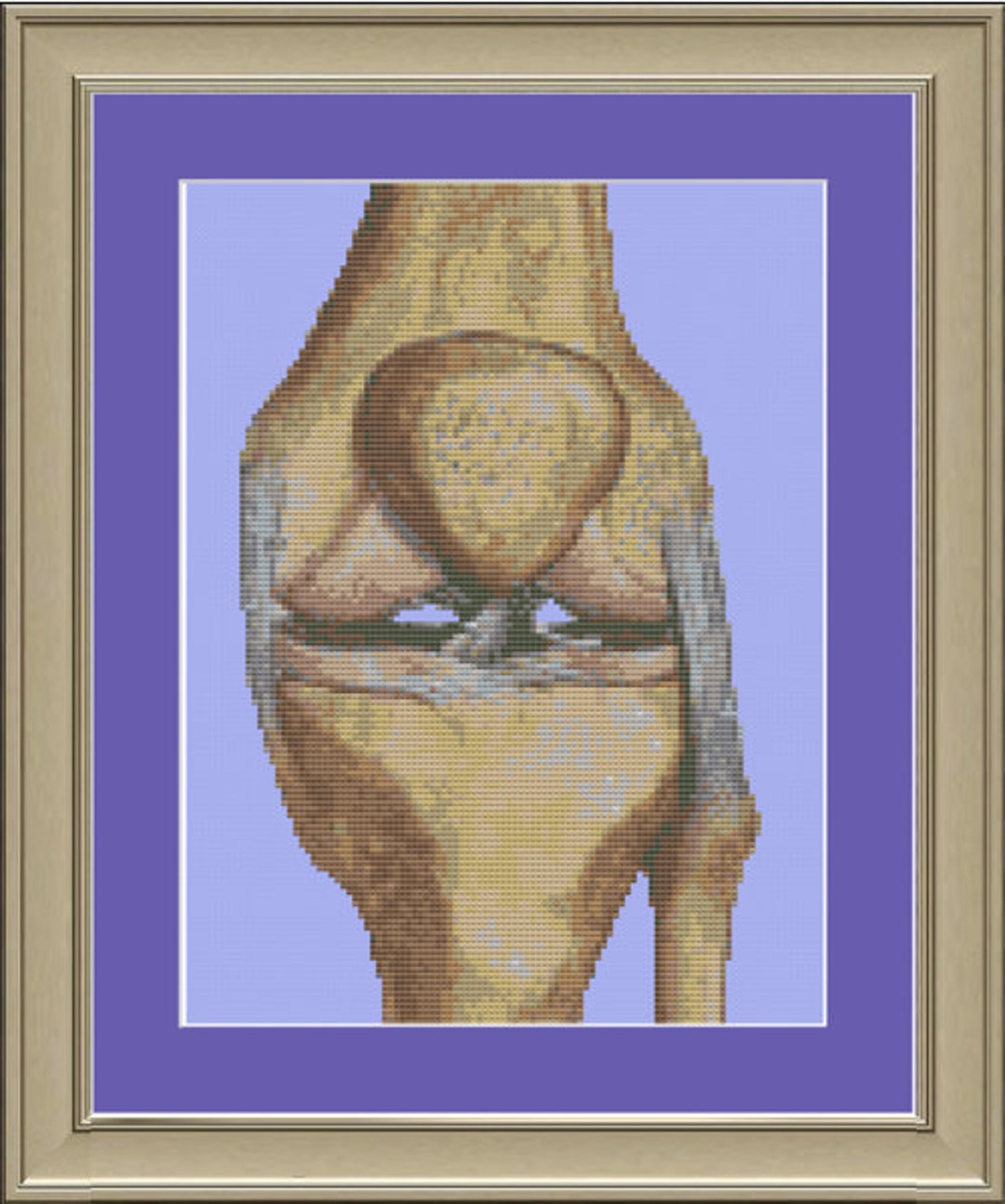 Human Knee: Anatomy Cross-stitch Pattern - Etsy