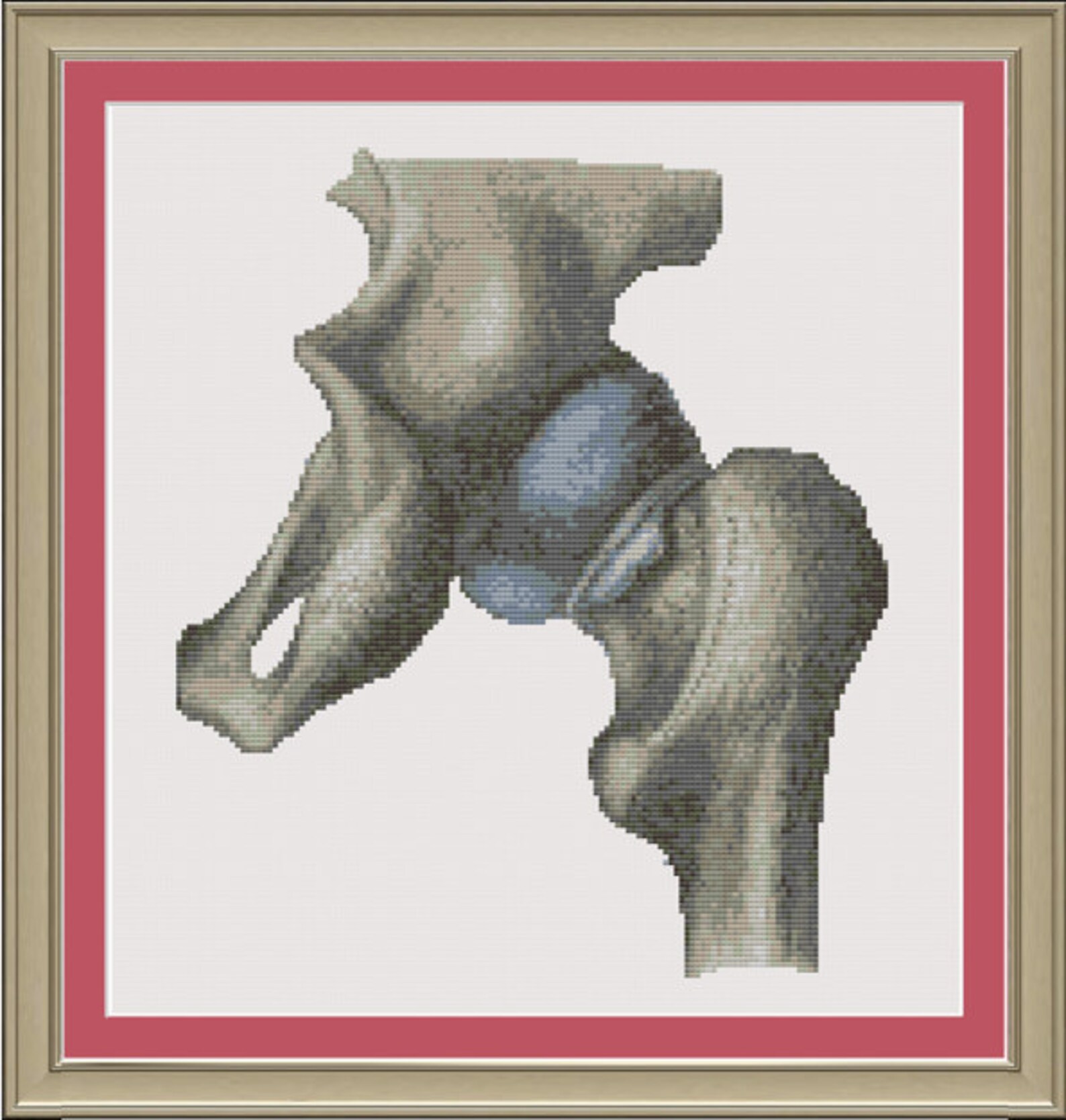 Human Hip: Nerdy Anatomy Cross-stitch Pattern - Etsy