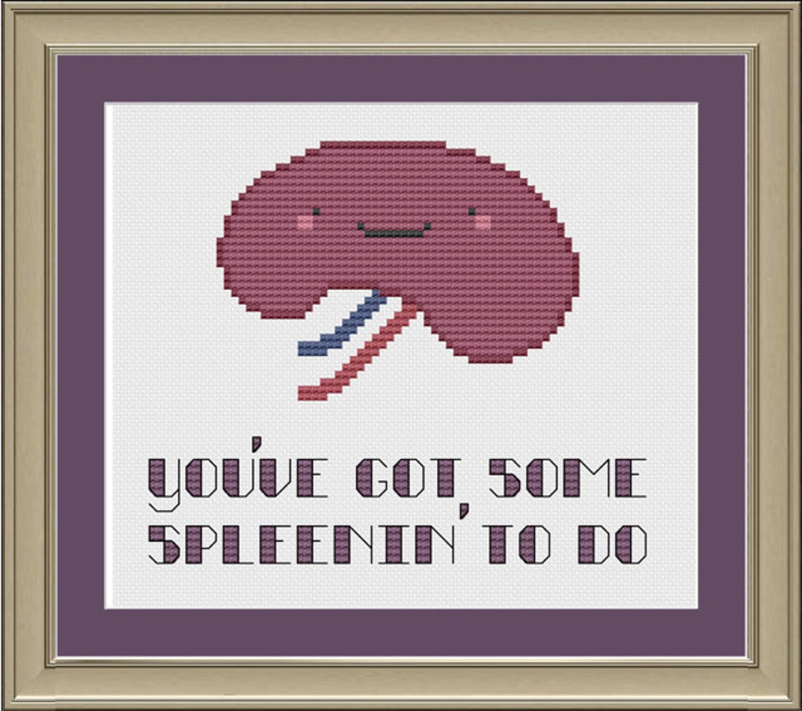 You've Got Some Spleenin' to Do: Funny Spleen Anatomy Cross-stitch ...