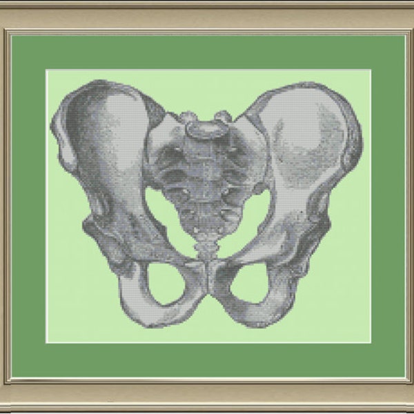 Pelvis Pattern - Etsy