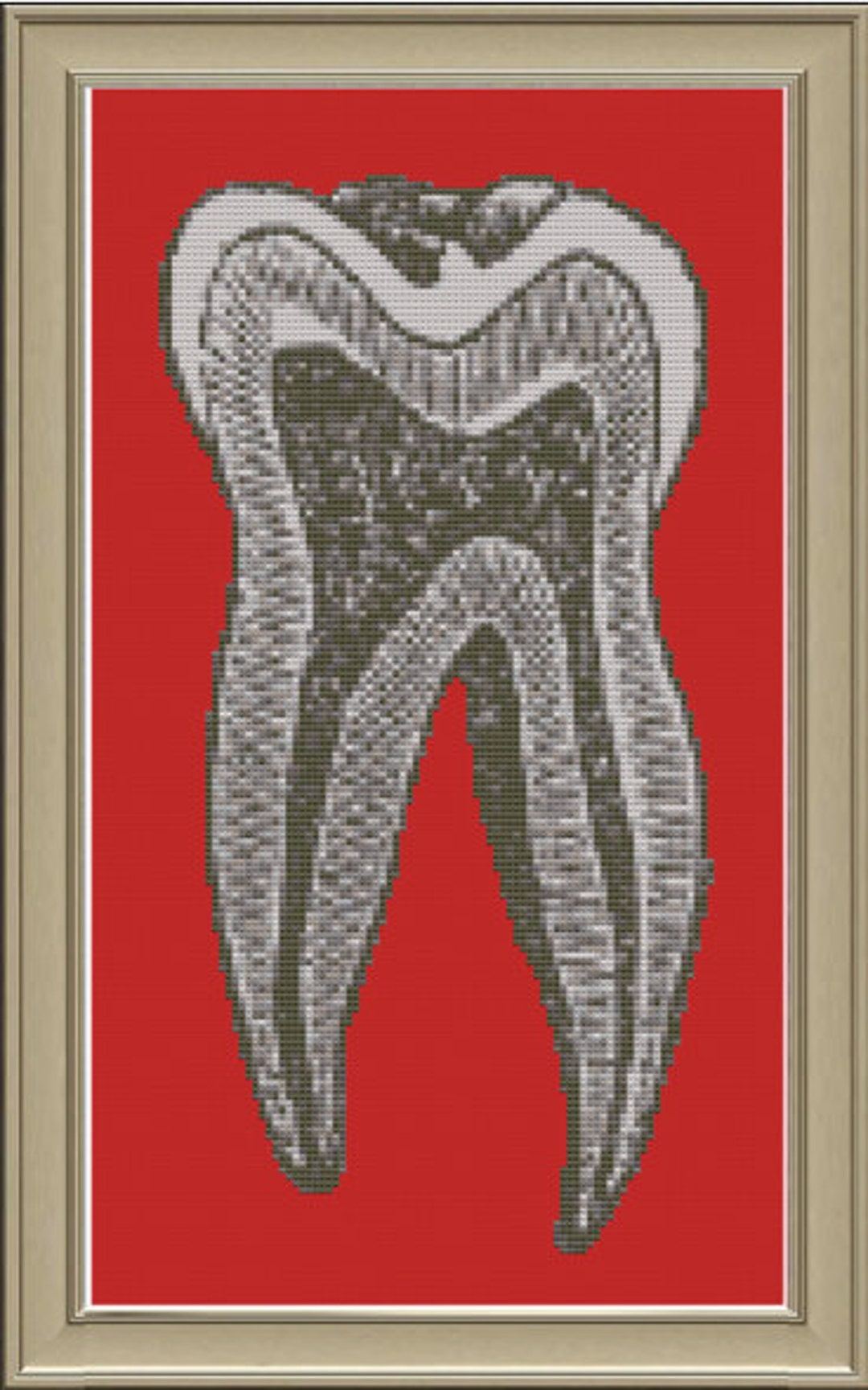 Human Tooth: Nerdy Dental Anatomy Cross-stitch Pattern - Etsy