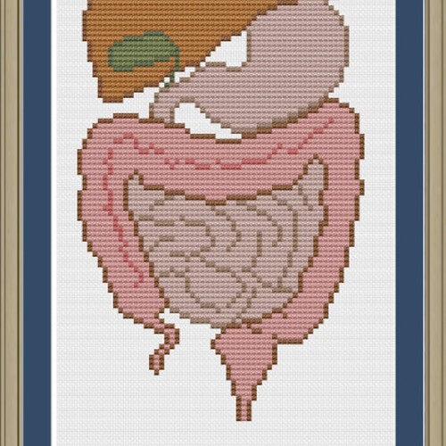 I Love Your Guts: Cute Anatomy Cross-stitch Pattern - Etsy