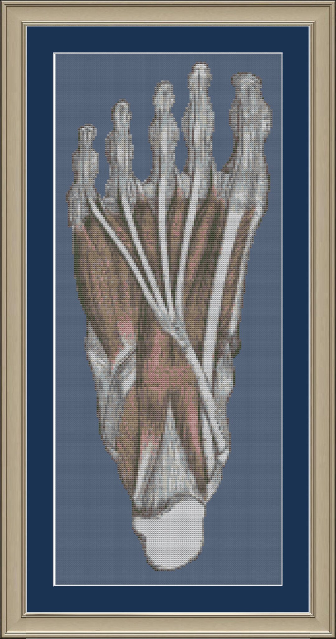 Human Foot: Anatomy Cross-stitch Pattern - Etsy