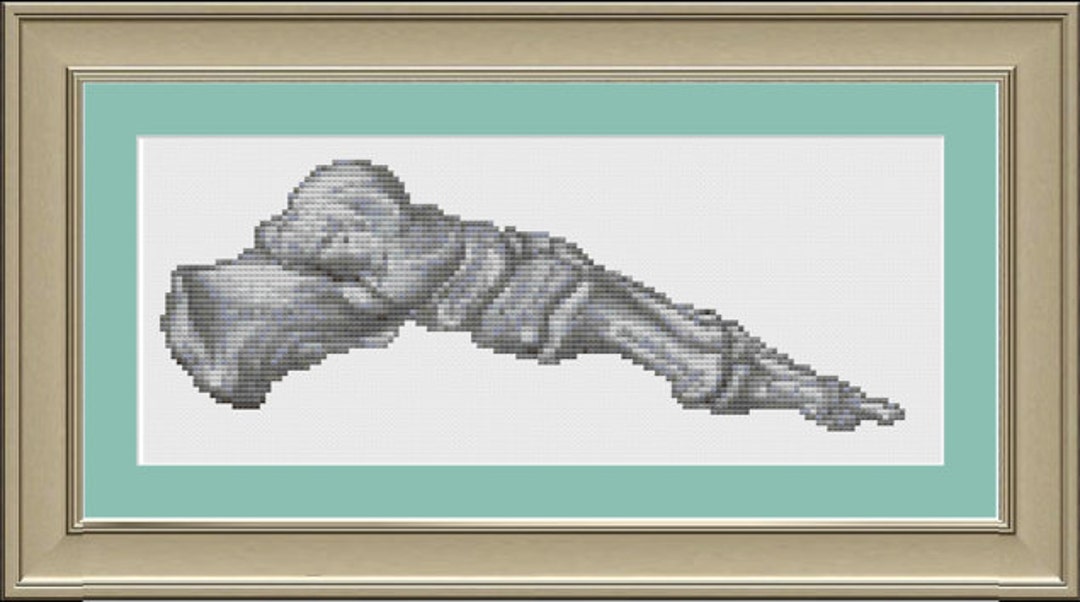 Human Foot Anatomy: Nerdy Cross-stitch Pattern - Etsy