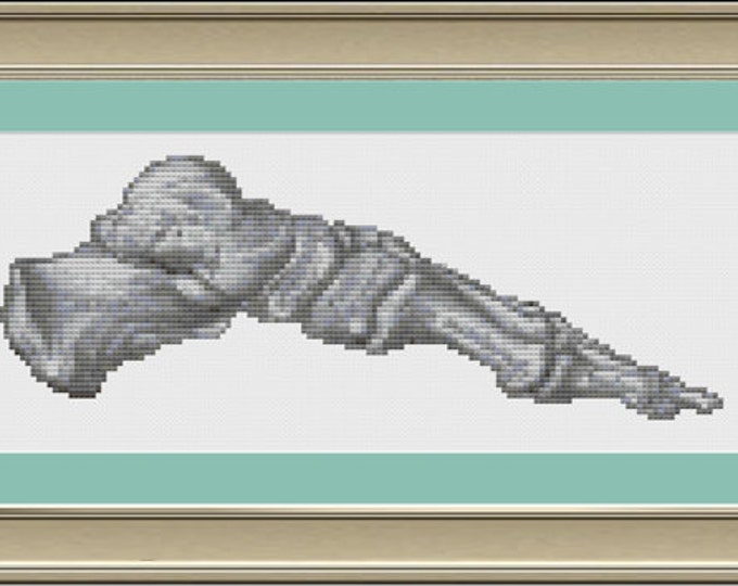 Human Foot Anatomy: Nerdy Cross-stitch Pattern - Etsy