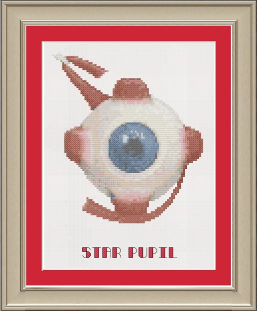 Star Pupil: Funny Human Eye Anatomy Cross-stitch Pattern - Etsy UK