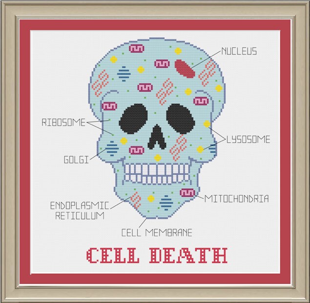 Cell Death Sugar Skull: Funny Cell Biology Cross-stitch Pattern - Etsy