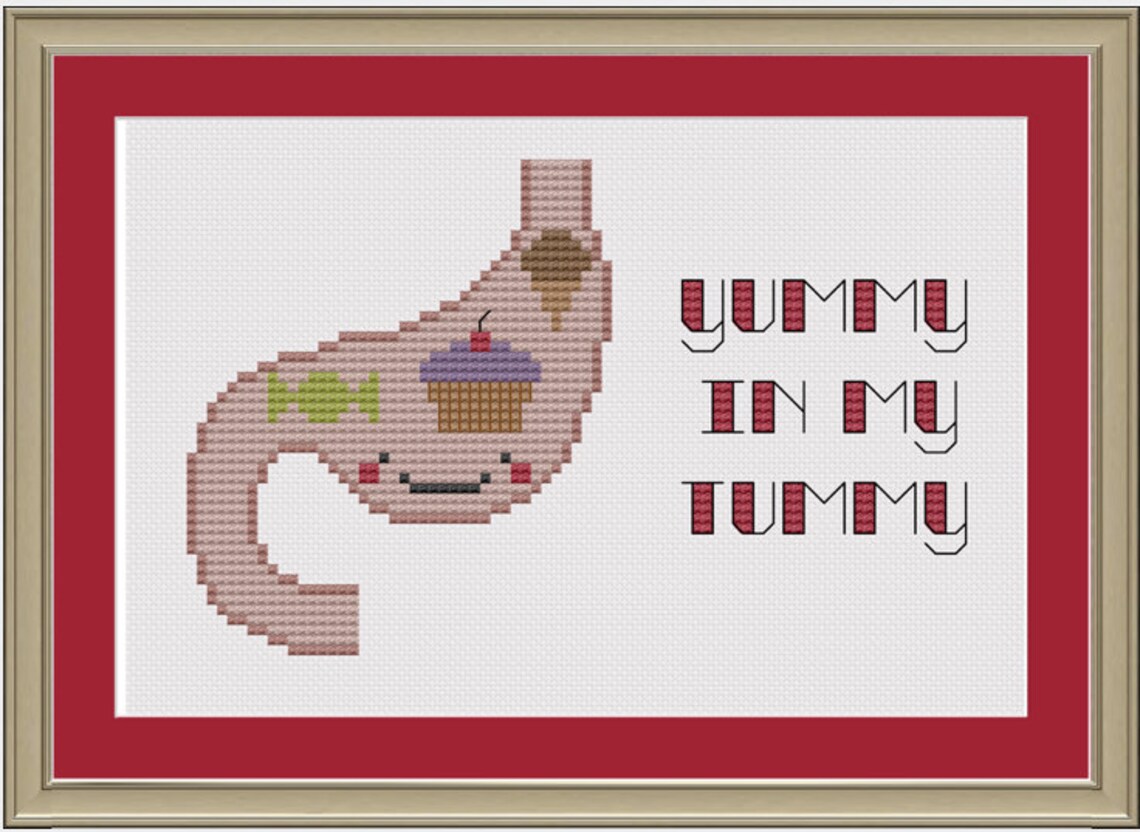 Yummy in My Tummy: Cute Human Stomach Cross-stitch Pattern - Etsy