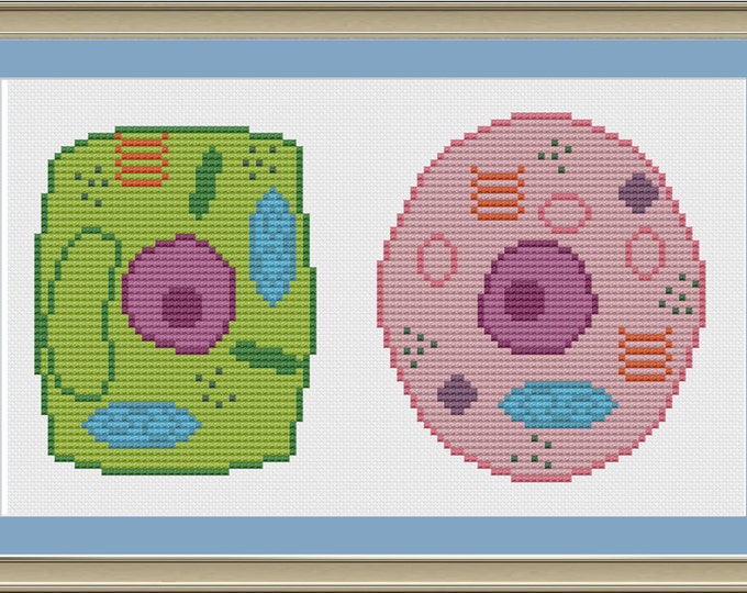 Plant and Animal Cell: Nerdy Cell Biology Cross-stitch Pattern - Etsy
