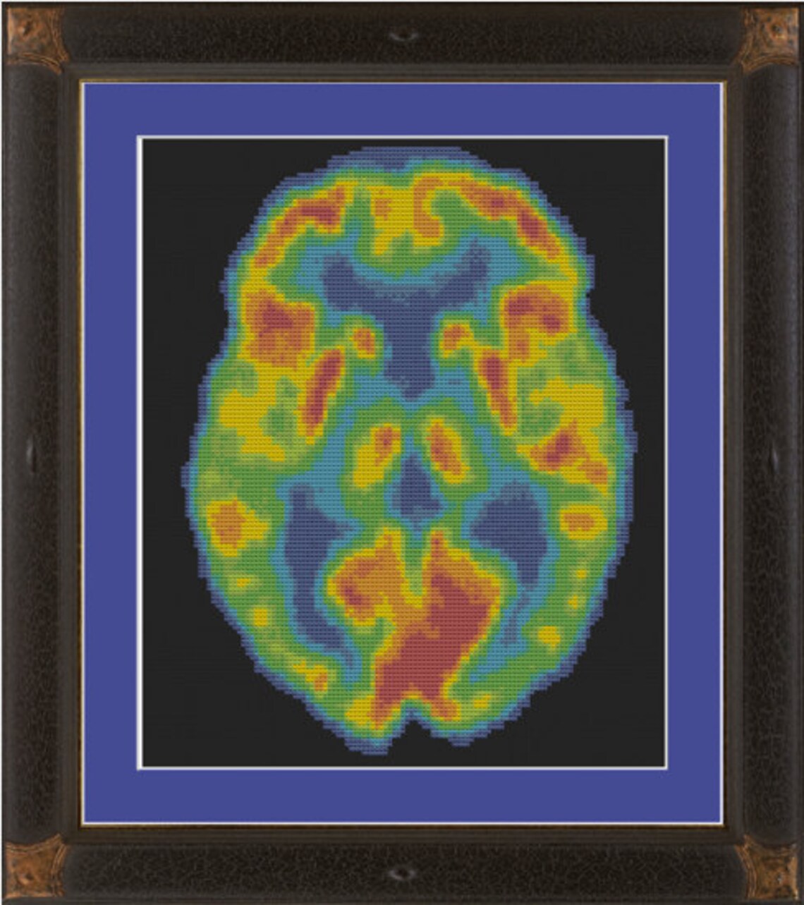 PET Scan of Brain: Science Cross-stitch Pattern - Etsy