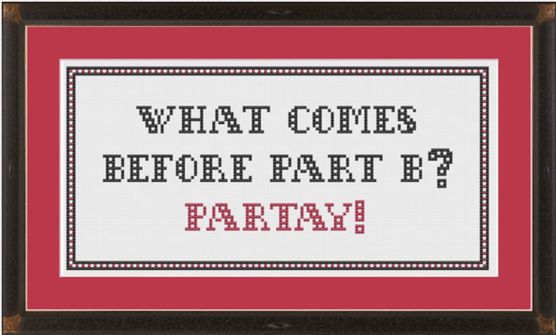 Cross-stitch Pattern: What Comes Before Part B - Etsy