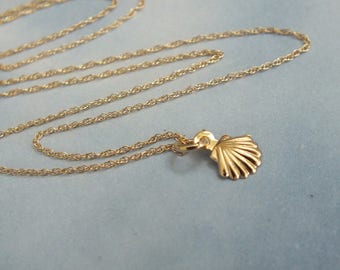 Gold Shell Necklace 14k Gold Clam Shell Necklace Small | Etsy