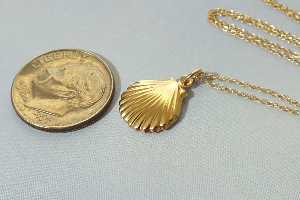 Gold Shell Necklace 14k Gold Clam Shell Necklace Small | Etsy