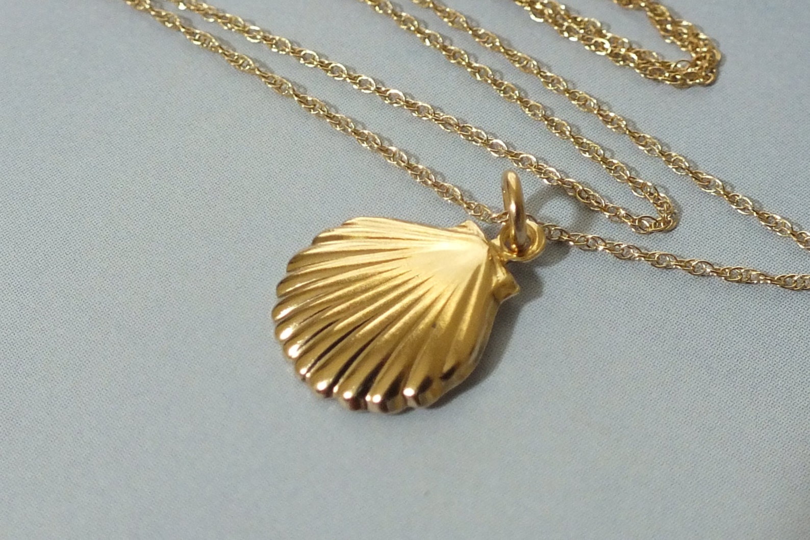 Gold Shell Necklace, 14k Gold Clam Shell Necklace, Small Delicate ...