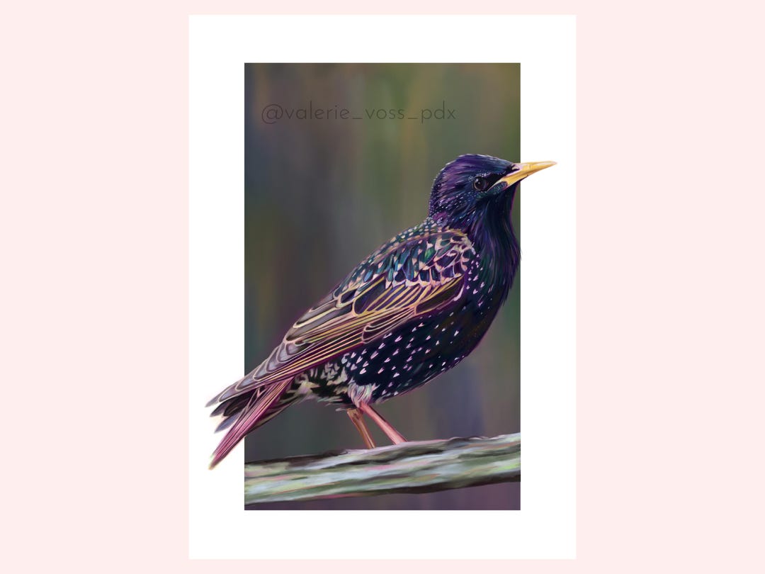Starling Bird Art Print - Animal Portrait, Apartment Decor Aesthetic ...