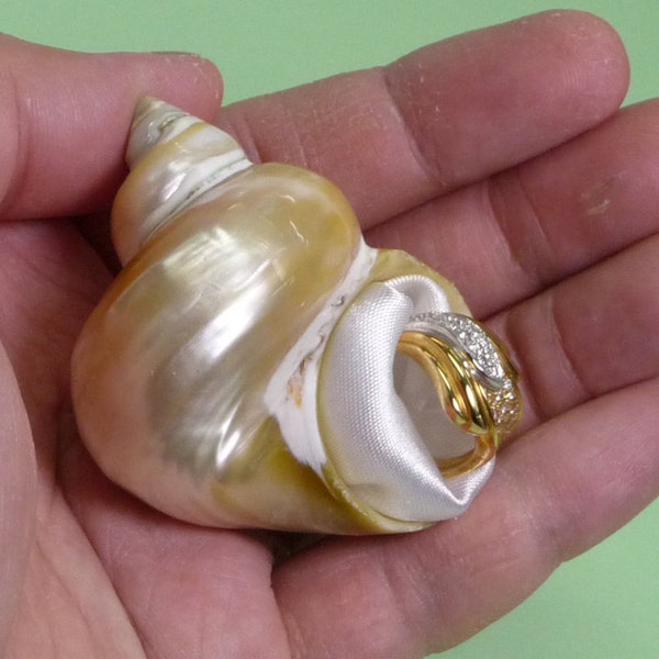 Seashell Ring Box - Etsy