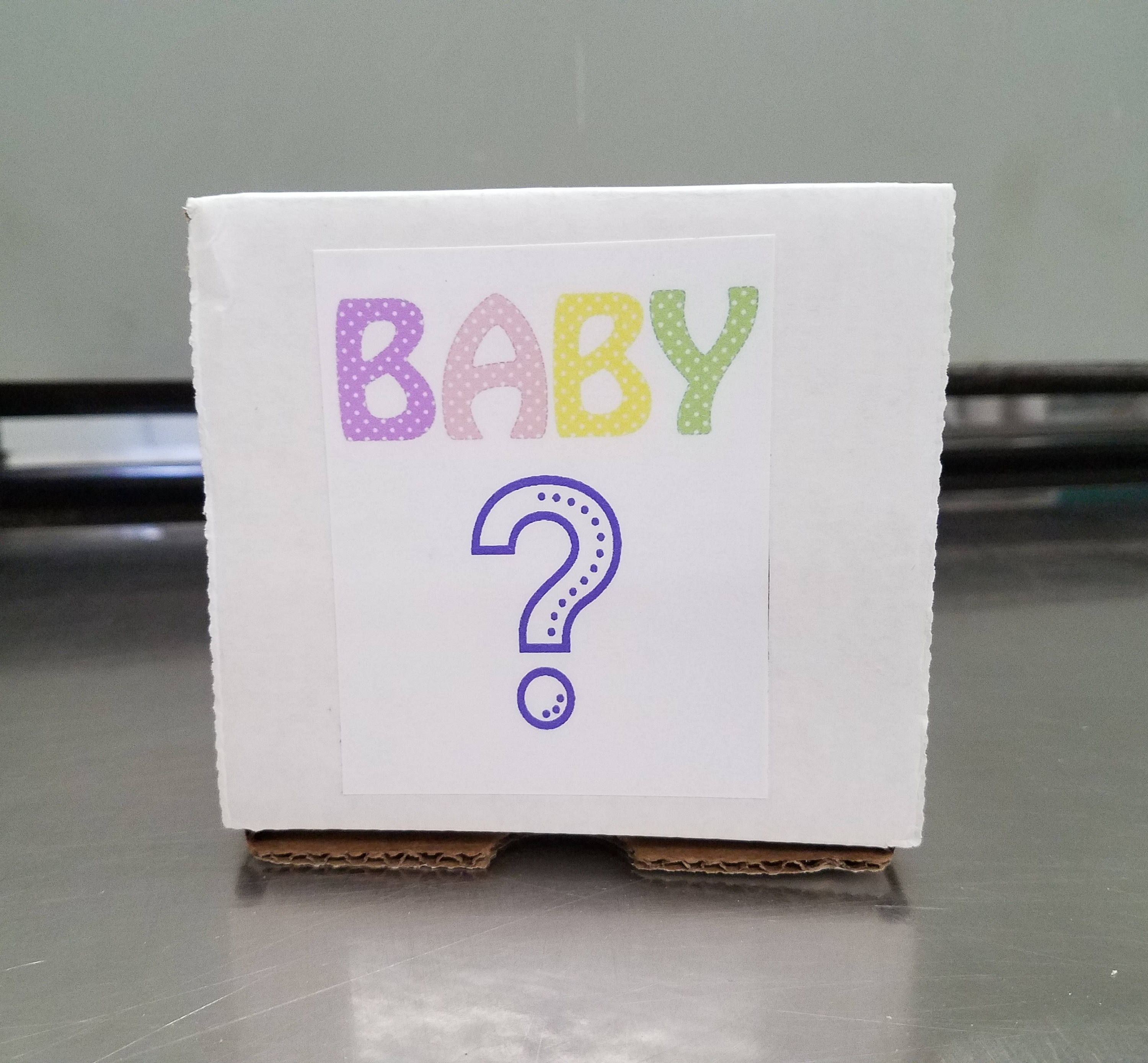 Gender Reveal Jigsaw Puzzle: Unique Pregnancy Announcement (8x10, 30/60 ...