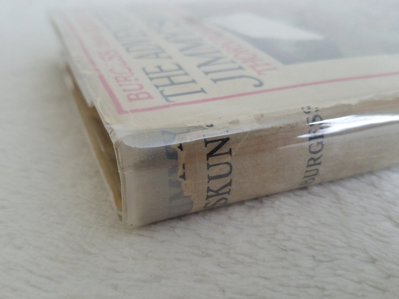 The Adventures of Jimmy Skunk by Thorton Burgess With Dust - Etsy