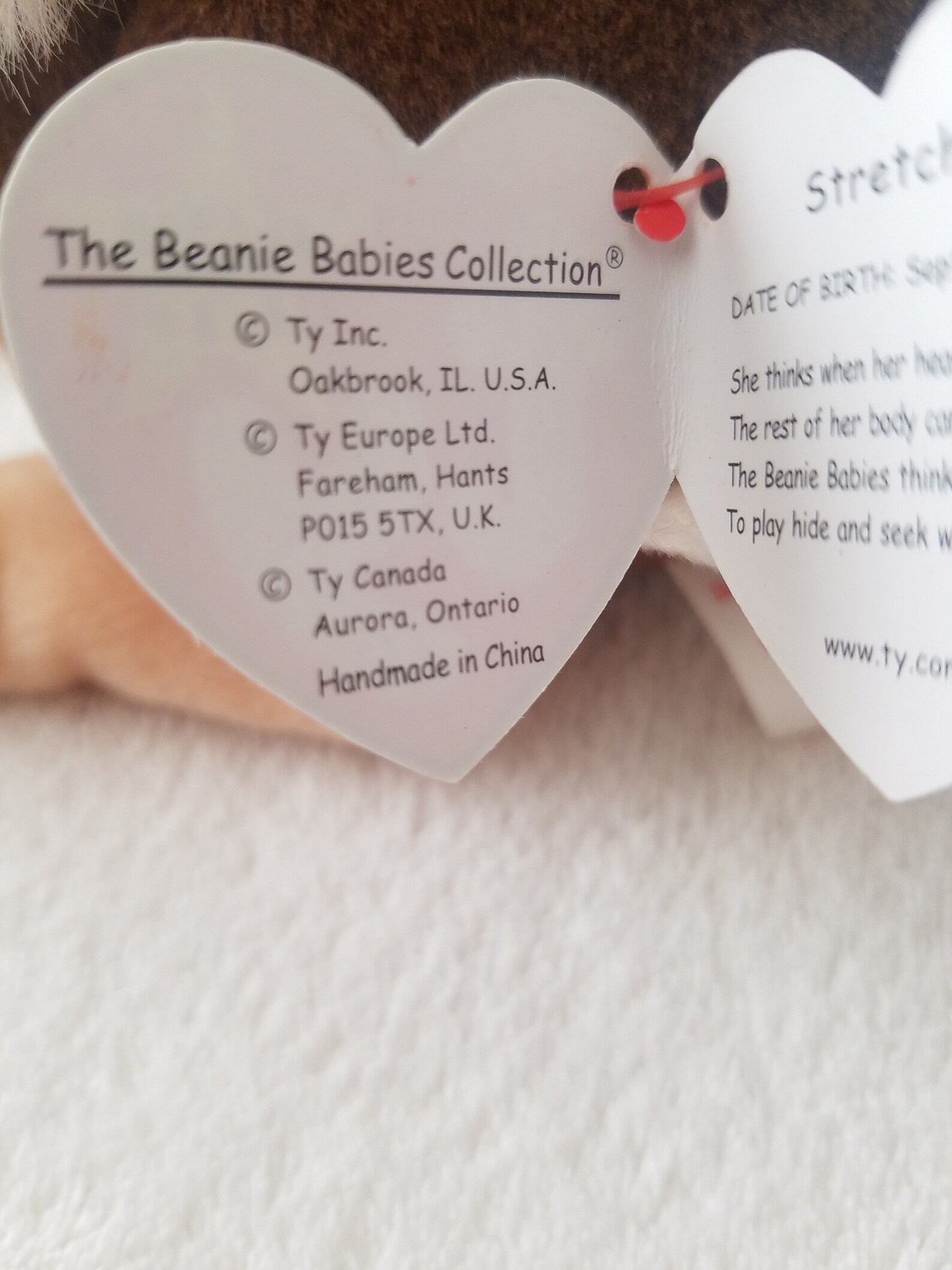 Ostrich Plush Toy, Stretch Beanie Baby 1997, Bird, Birthday Gift, Baby ...