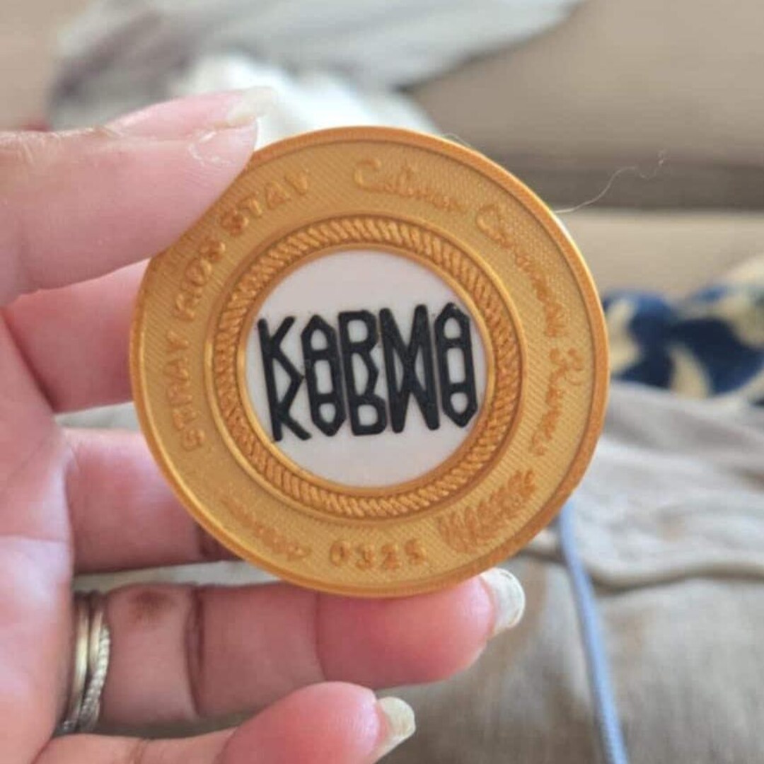 Stray Kids KARMA Album SKZ Games Display Collectible Coin Medallion - Etsy