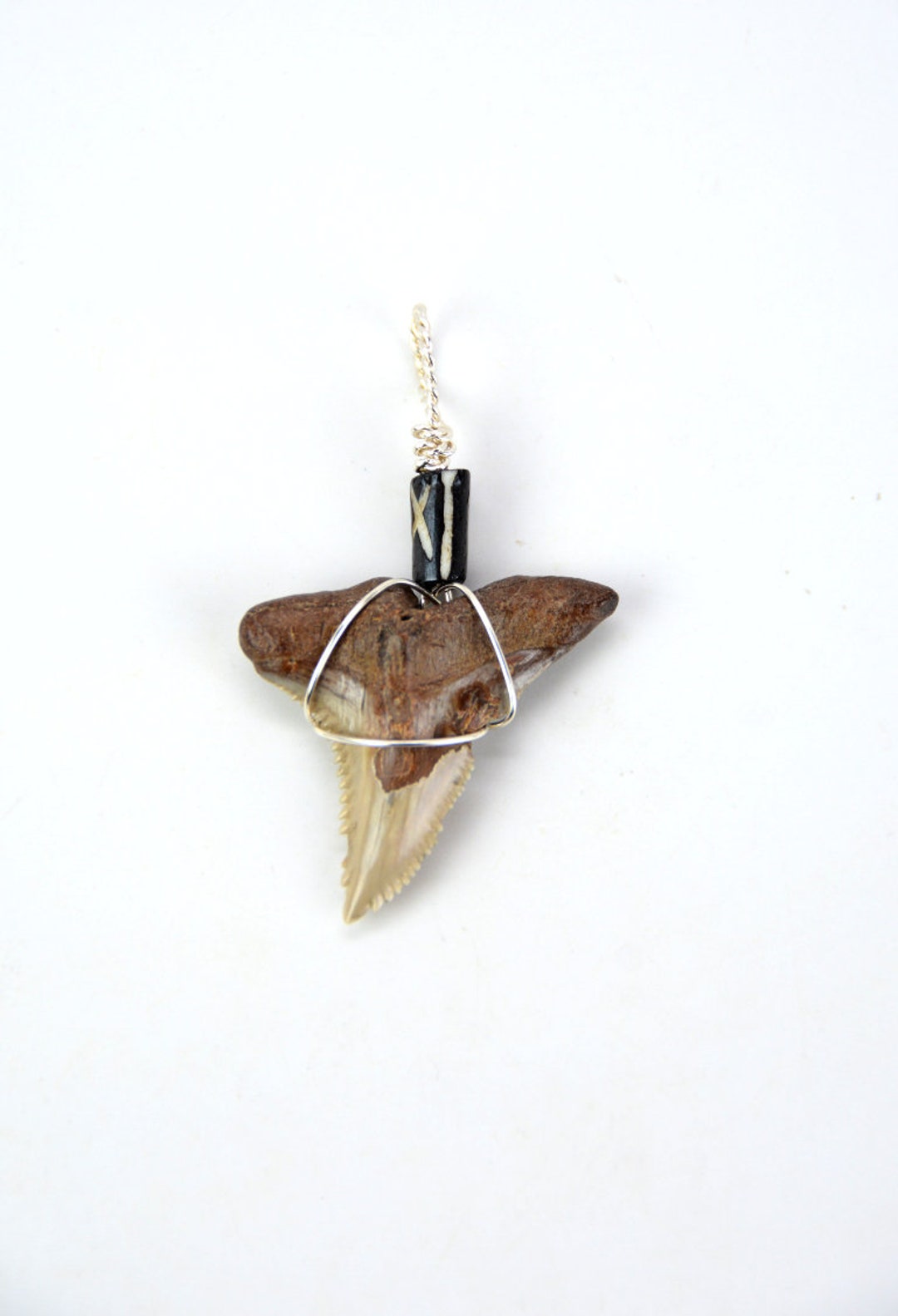 Snaggle Shark Tooth Pendant Necklace - Etsy