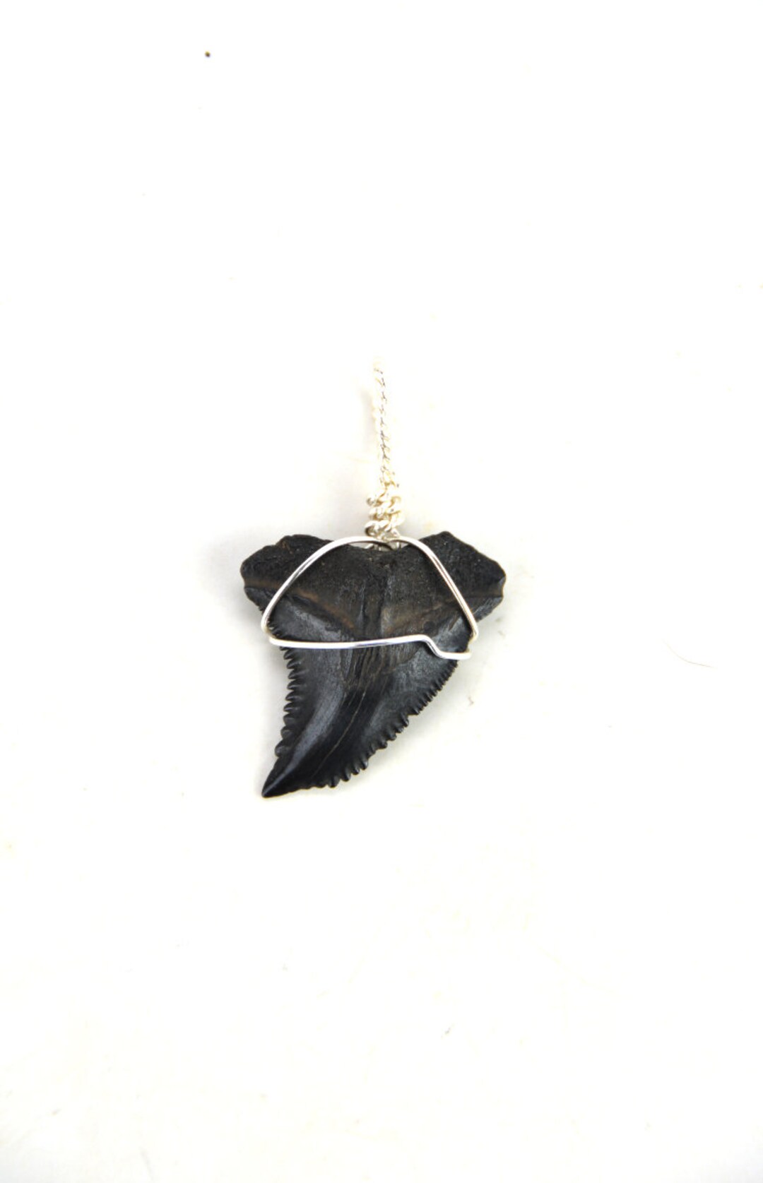 Snaggle Shark Tooth Pendant Necklace - Etsy