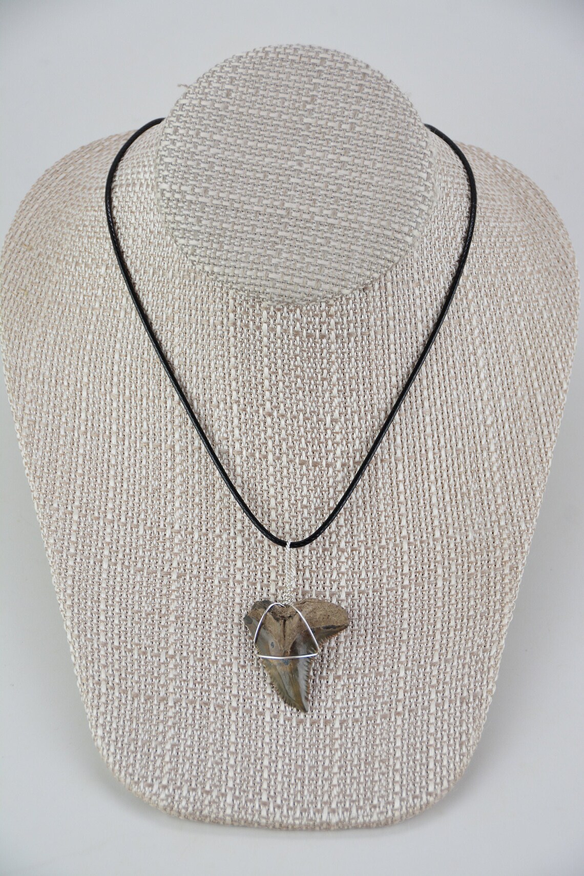 Snaggle Shark Tooth Pendant Necklace | Etsy