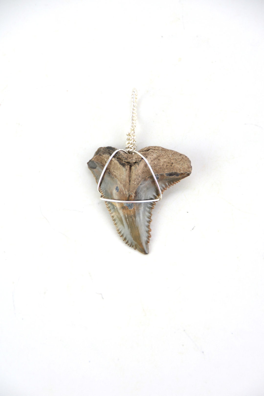 Snaggle Shark Tooth Pendant Necklace - Etsy