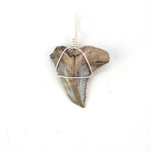 Snaggle Shark Tooth Pendant Necklace - Etsy