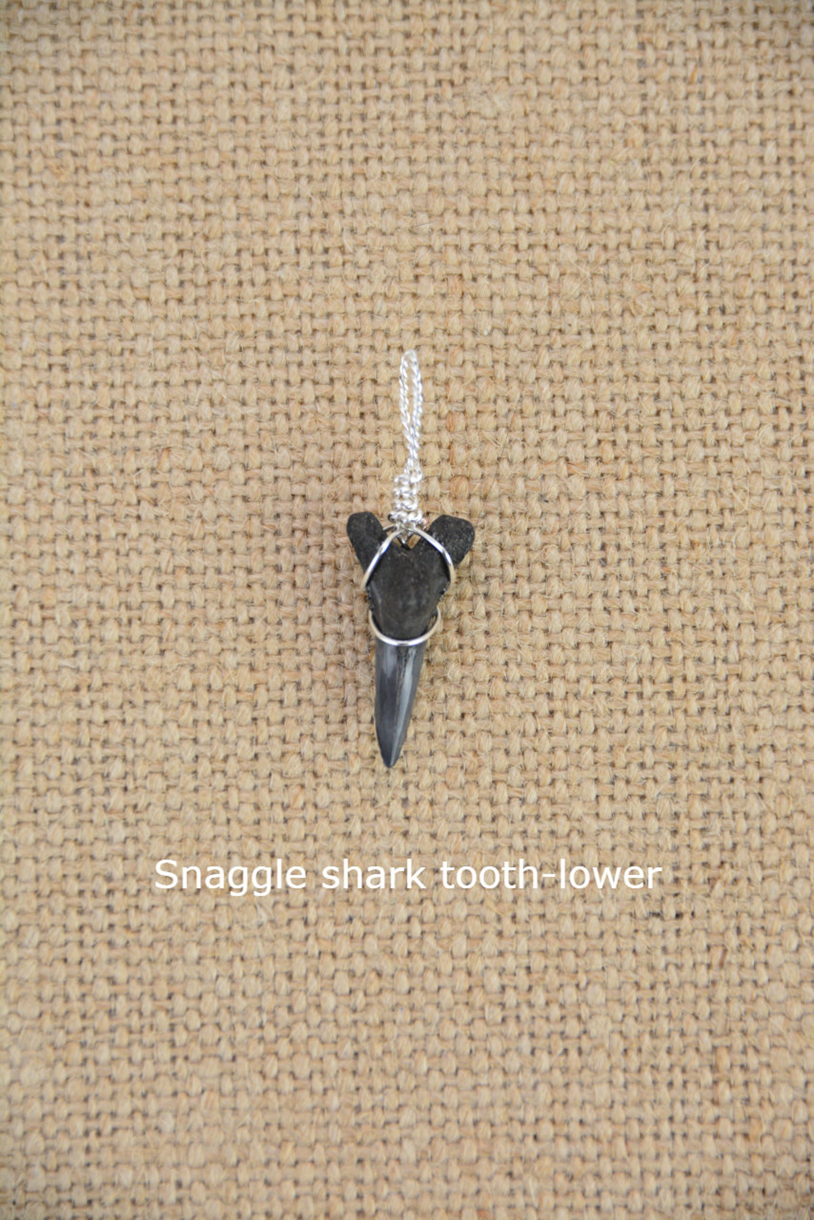 Fossilized Shark Tooth Necklace - Etsy