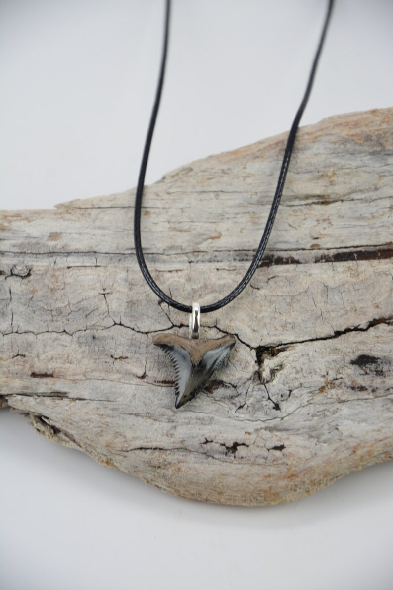 Snaggle Shark Tooth Necklace - Etsy