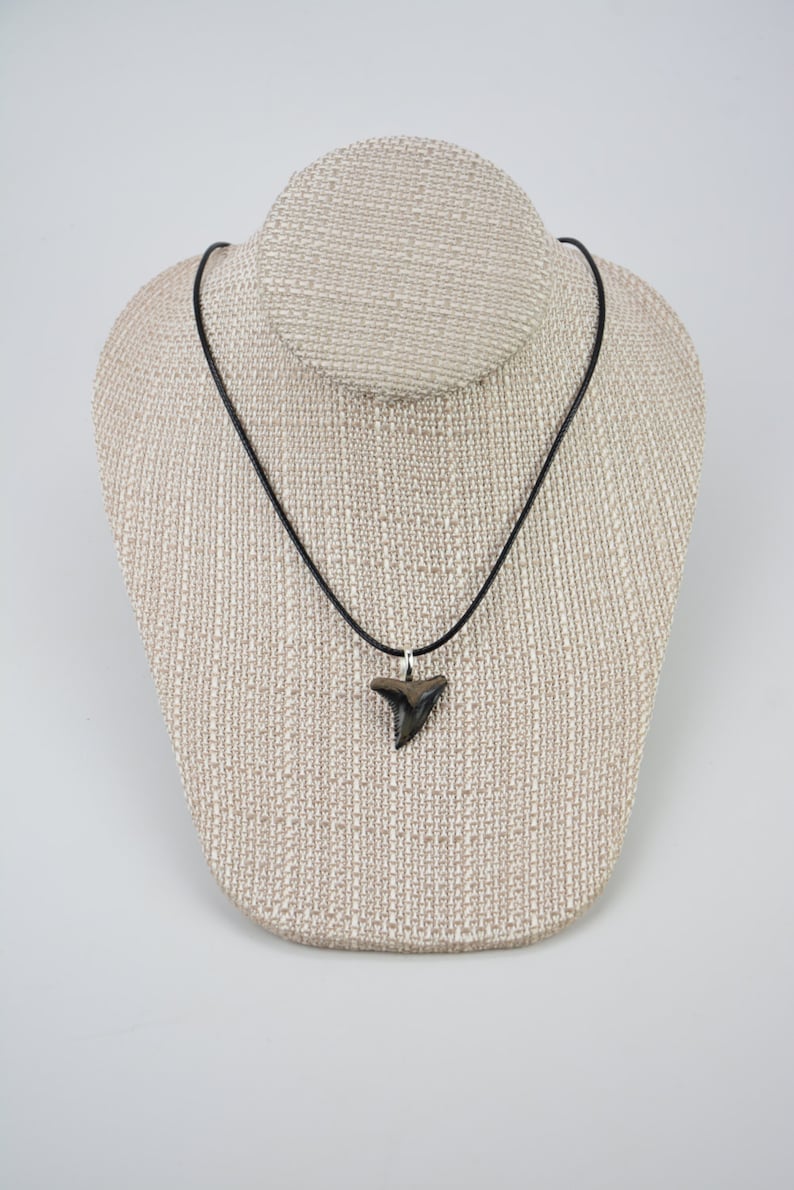 Snaggle Shark Tooth Necklace - Etsy