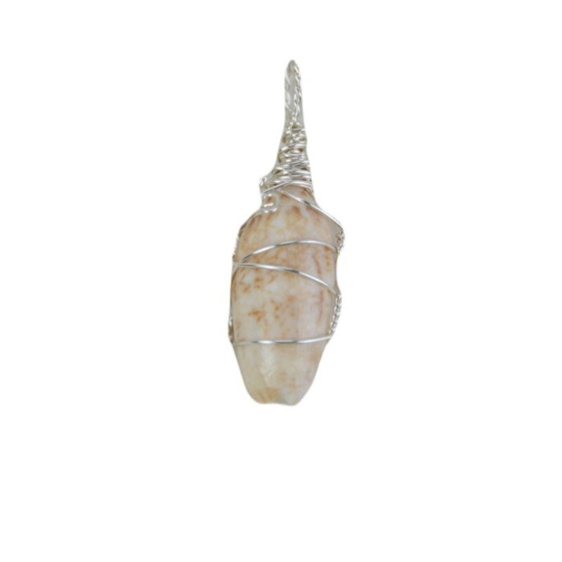 Olive Shell Pendant - Etsy