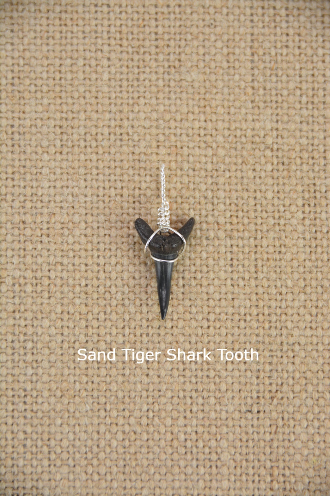 Fossilized Shark Tooth Necklace - Etsy