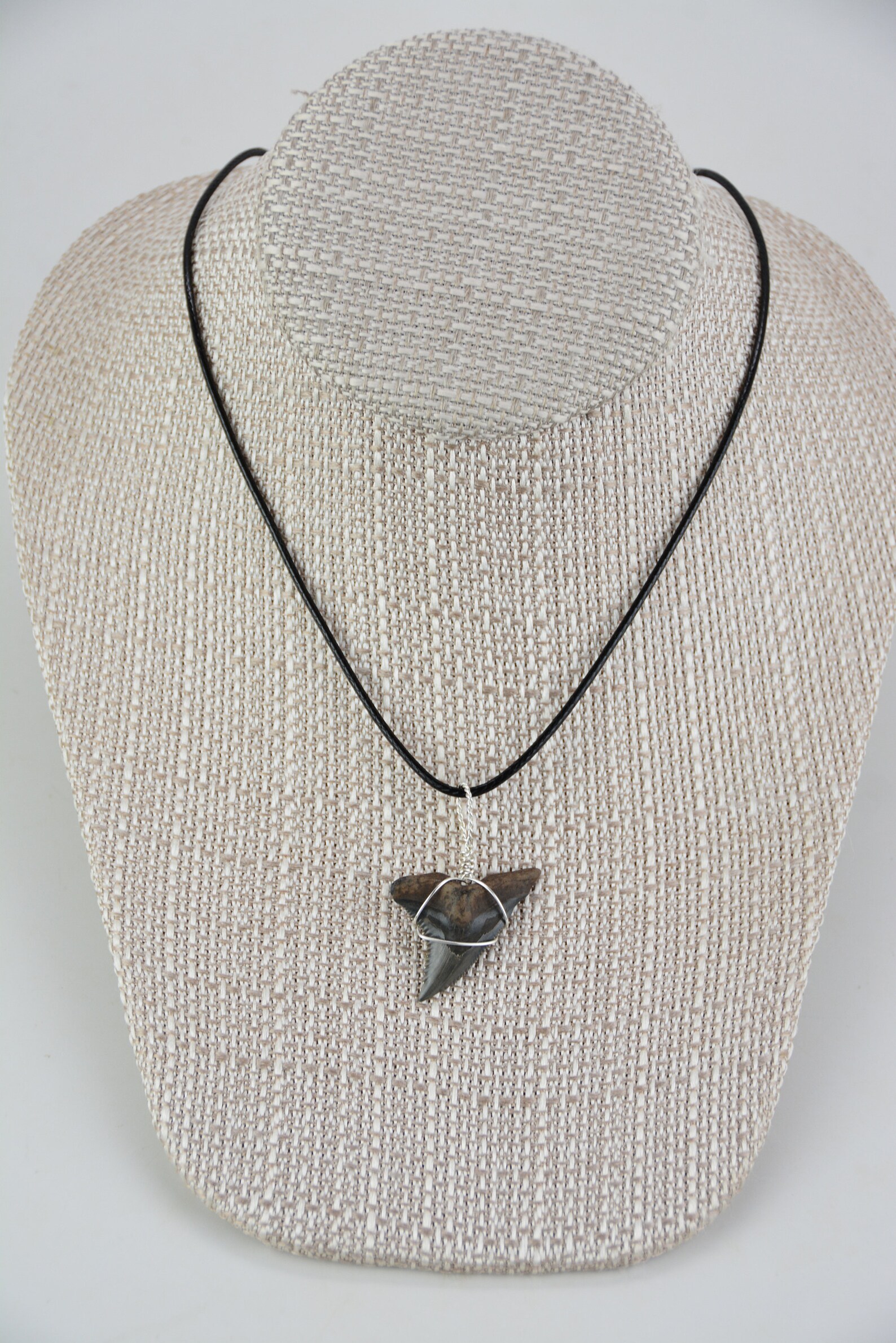 Snaggle Shark Tooth Pendant Necklace - Etsy