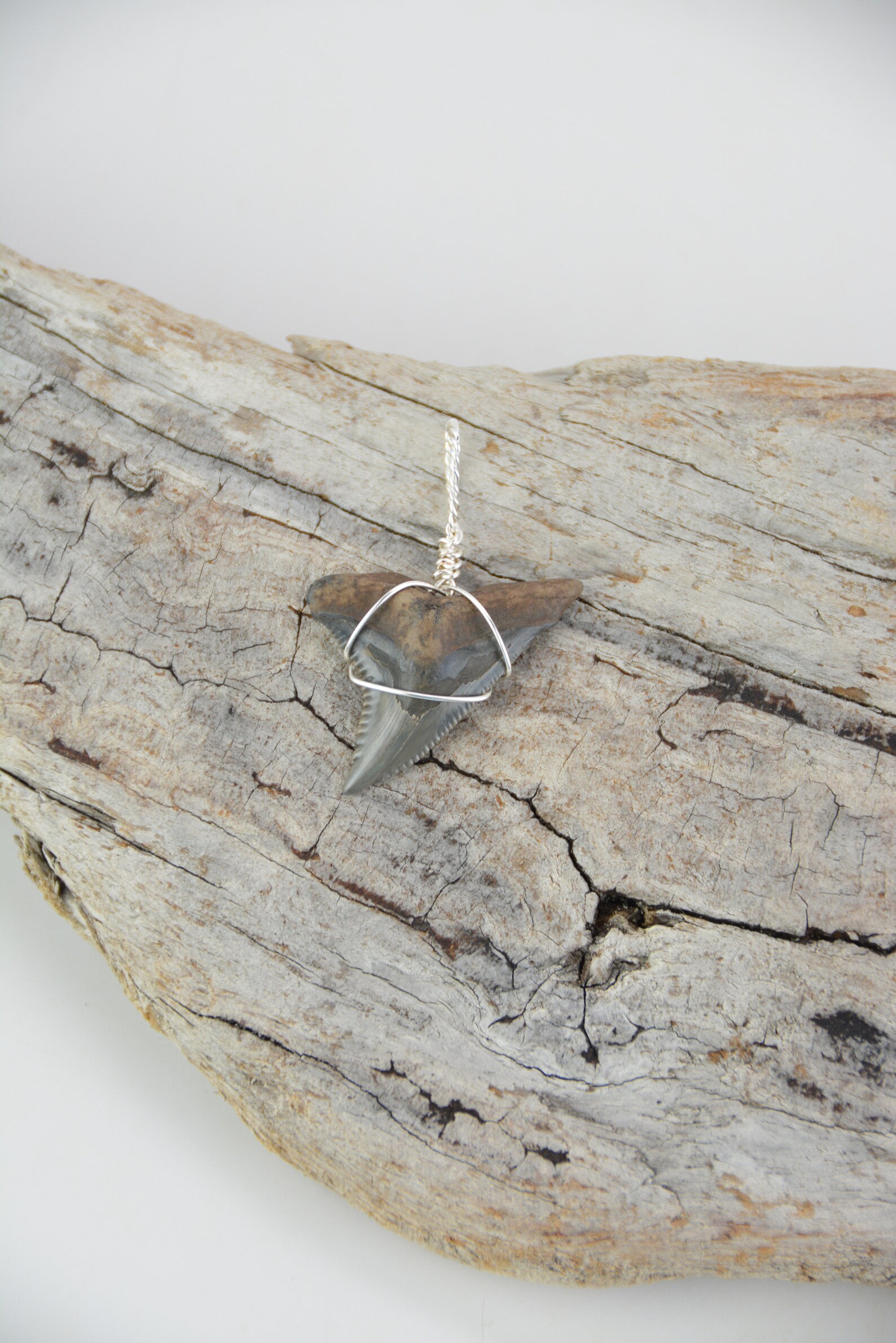 Snaggle Shark Tooth Pendant Necklace | Etsy