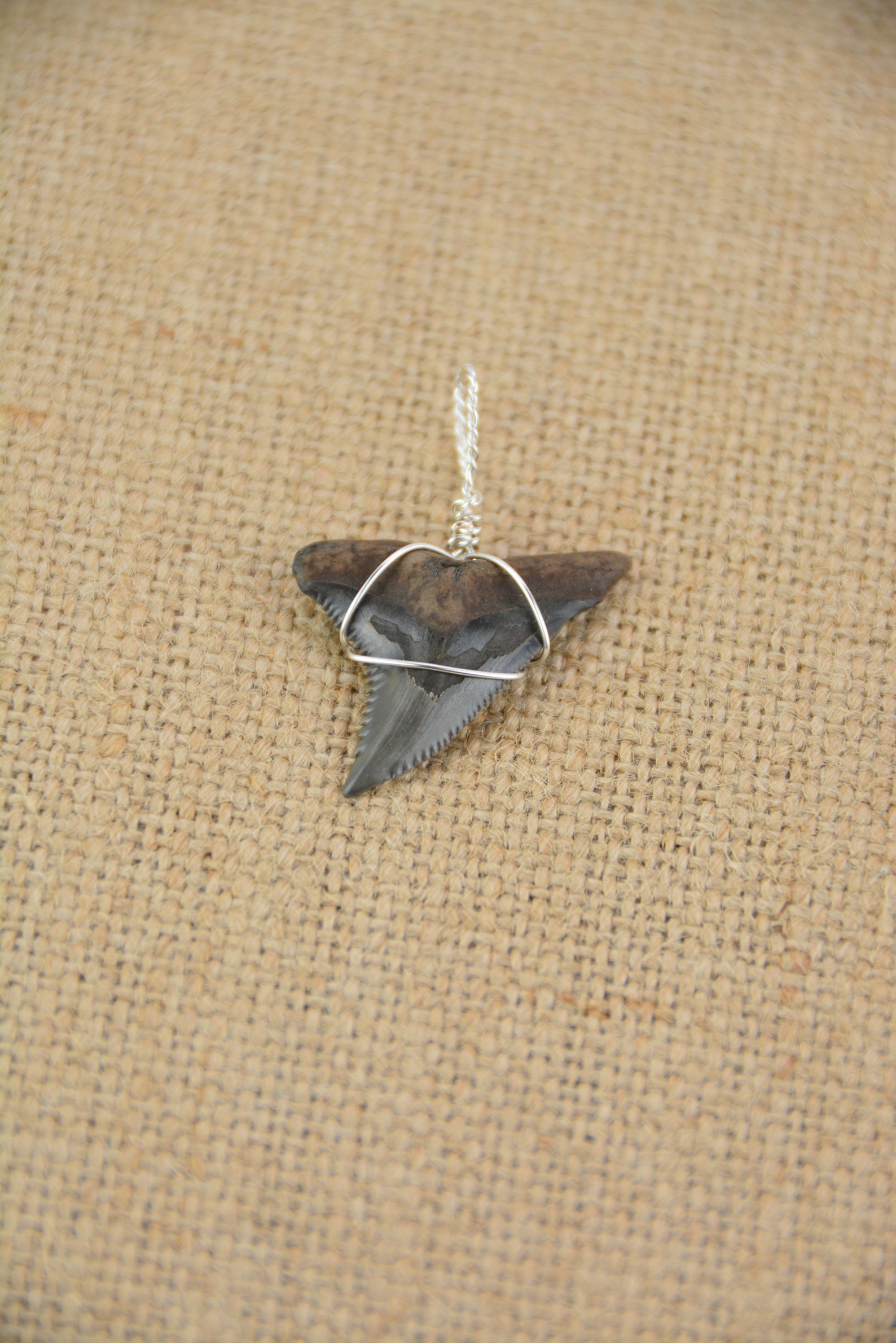 Snaggle Shark Tooth Pendant Necklace - Etsy