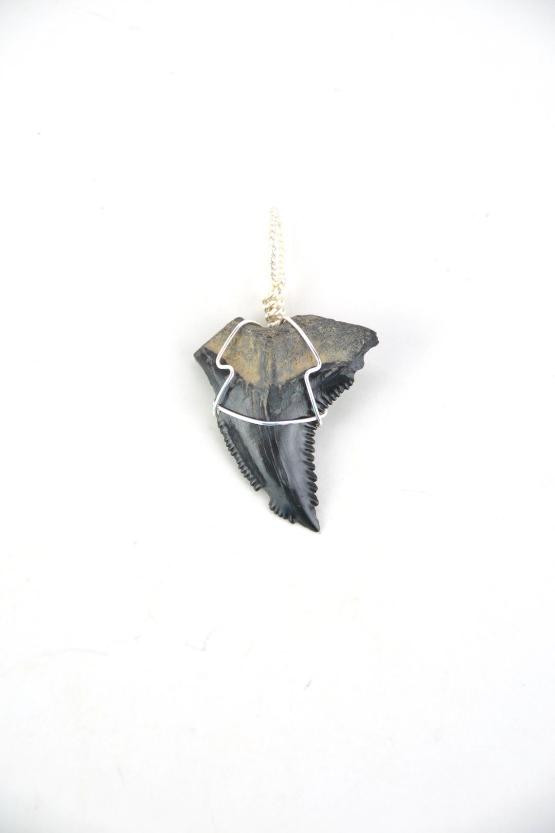 Snaggle Shark Tooth Pendant Necklace - Etsy