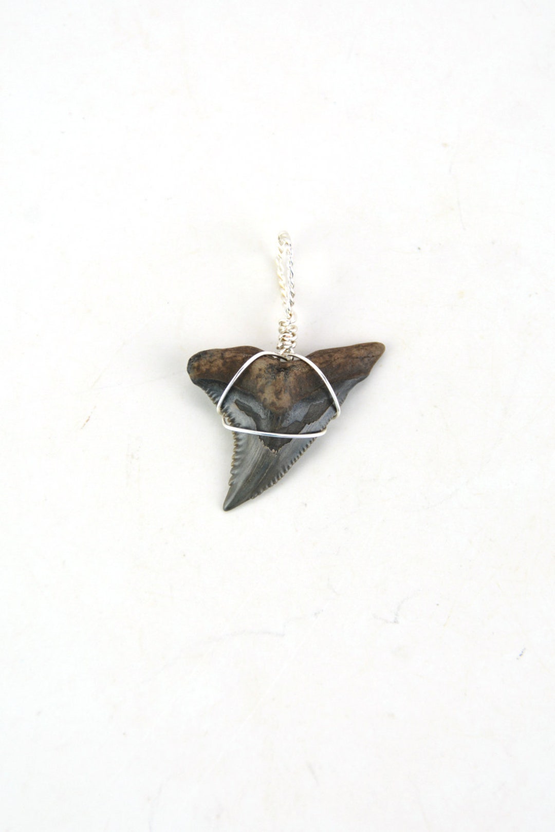 Snaggle Shark Tooth Pendant Necklace - Etsy