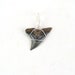Snaggle Shark Tooth Pendant Necklace - Etsy