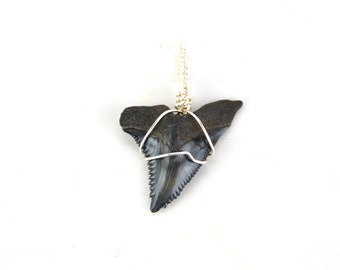 Snaggle Shark Tooth Pendant Necklace - Etsy
