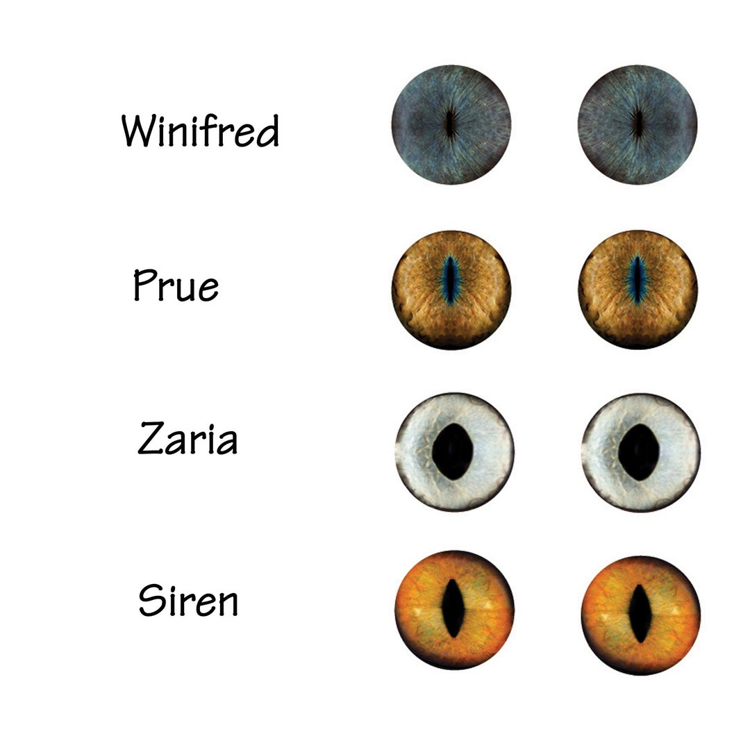Resin - Glass Like Eyes - Doll Eyes - Slit Iris - Multiple Sizes to ...